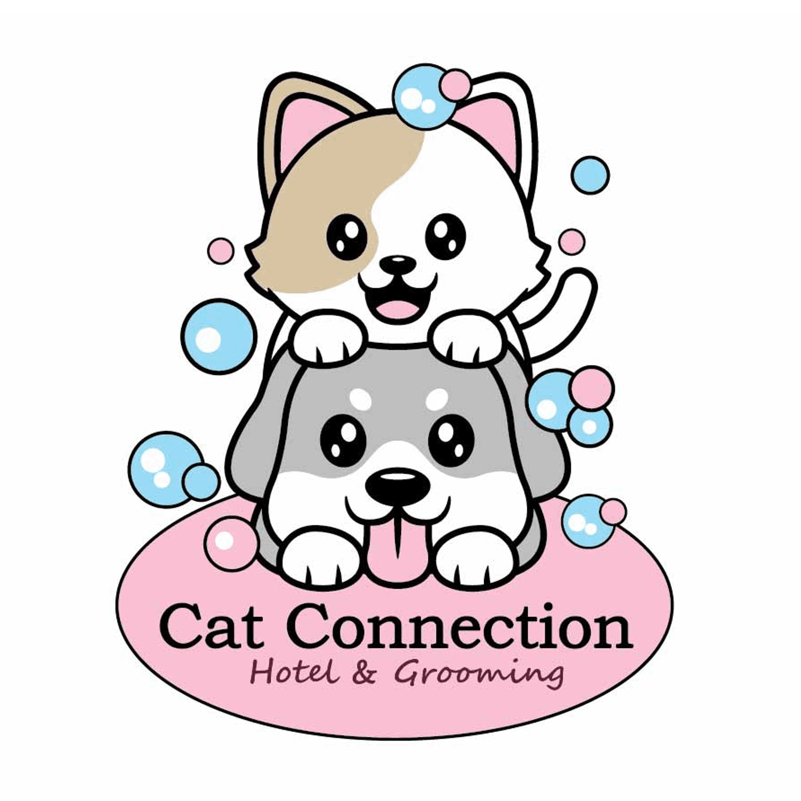 Cat Connection