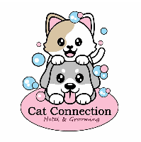 Cat Connection